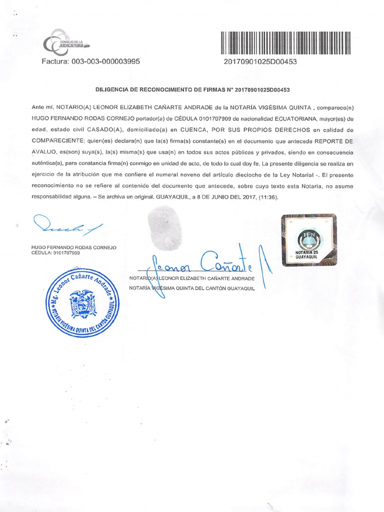 Flopec I Notarizado | PDF