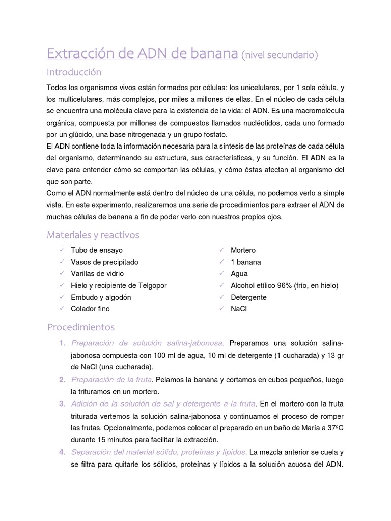 Extracción de ADN de Banana: Guía Práctica | PDF | Adn | Biología Celular)