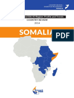 Somalia Vs Somaliland Detailed Progress | PDF | Somalia | Infrastructure
