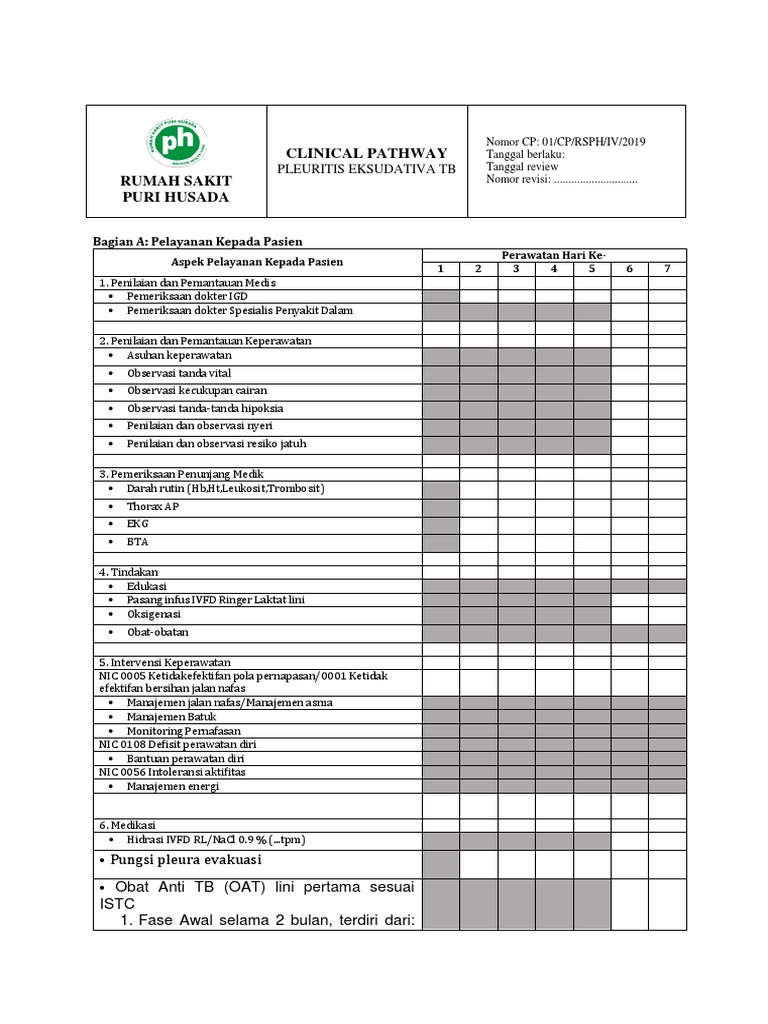 CP Pleuritis Eksudativa TB - 3 | PDF