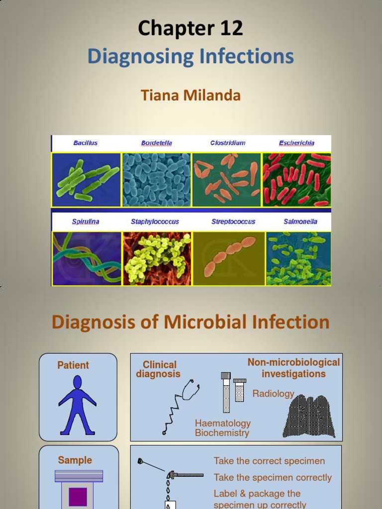 Diagnosing Microbial Infections Guide | PDF | Primer (Molecular Biology ...