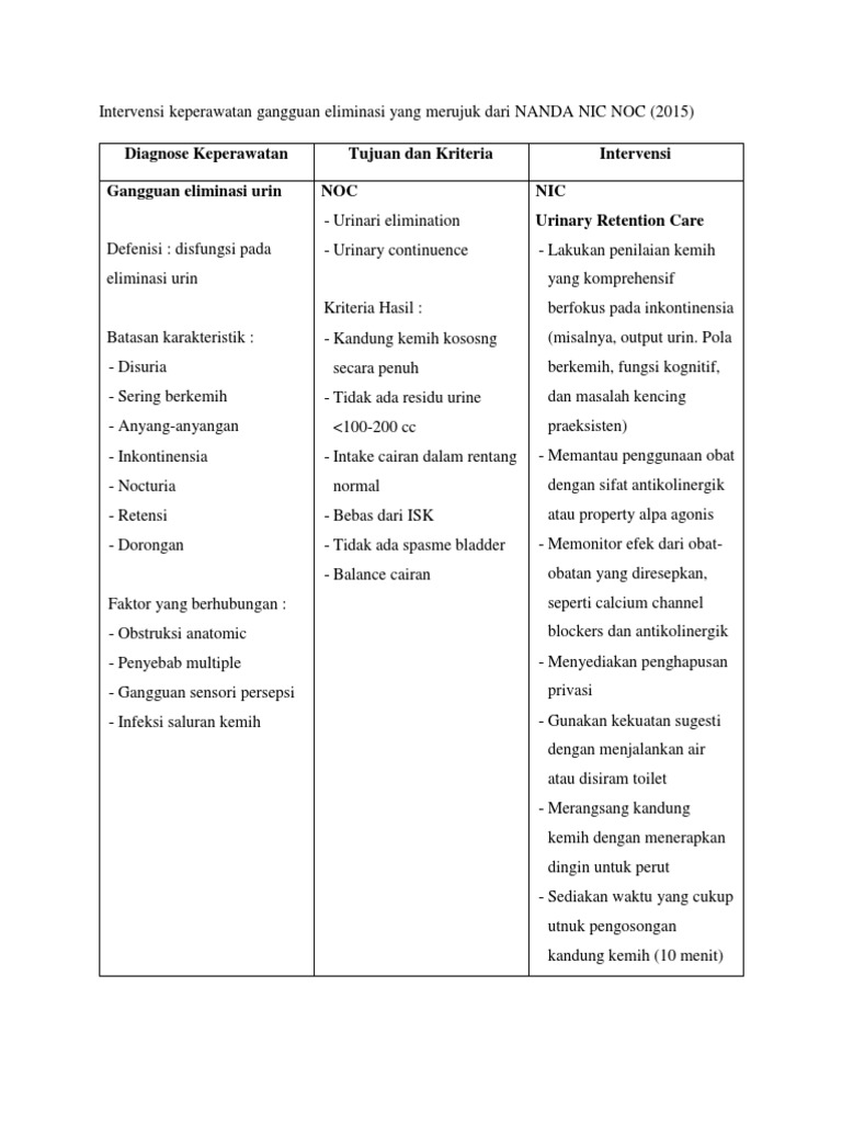 Intervensi Keperawatan Gangguan Eliminasi Yang Merujuk Dari NANDA NIC NOC | PDF