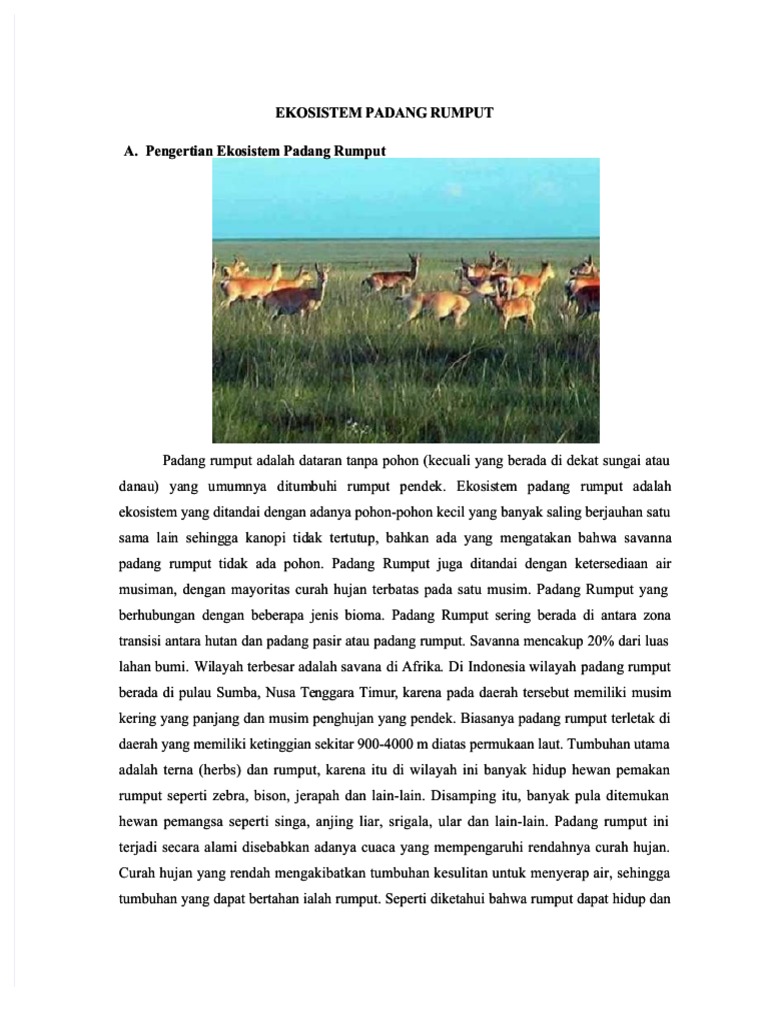 Ekosistem Padang Rumput PDF | PDF