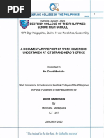 A Narrative Report On Work Immersion at CAYSMH | PDF | Self-Improvement