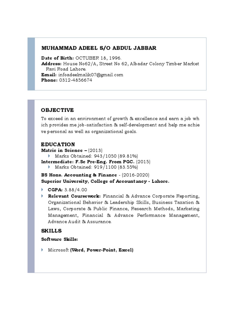 Adeel CV | PDF