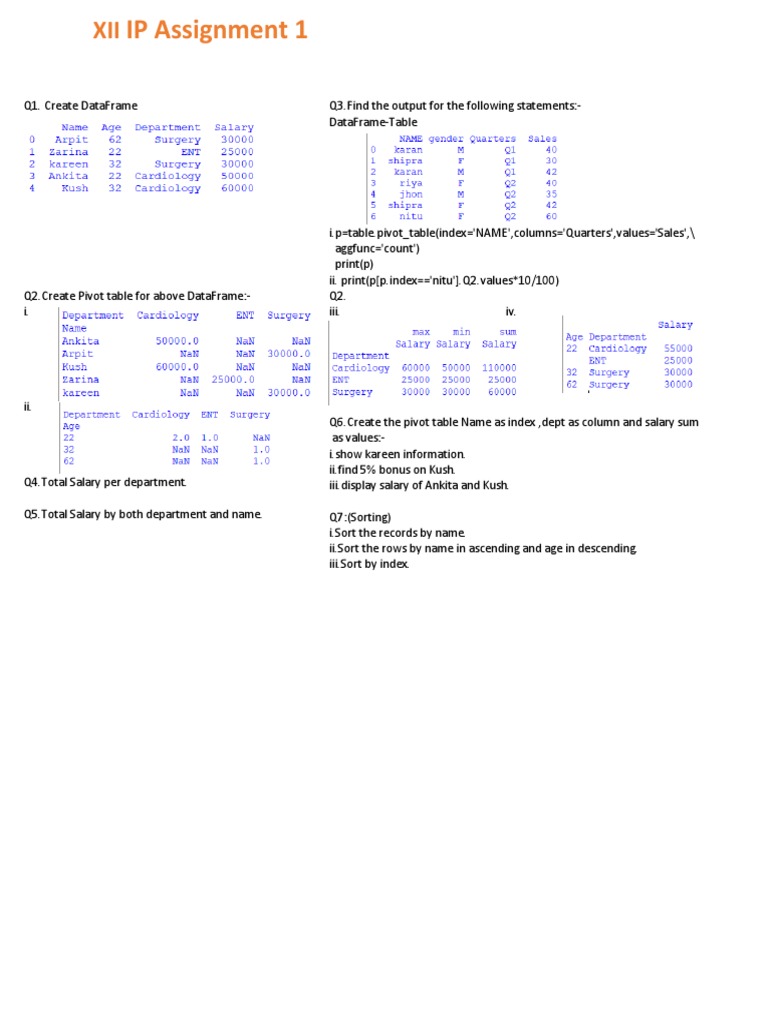 XII IP Assignment 1 PDF | PDF