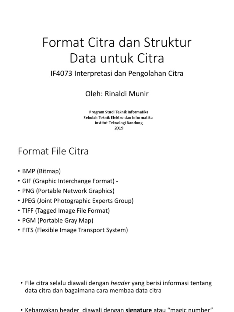 Format dan Struktur Data Citra | PDF | Komputer