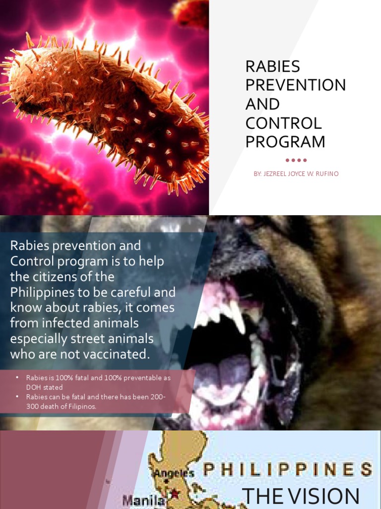 Rabies Prevention and Control | PDF | Rabies | Vaccines