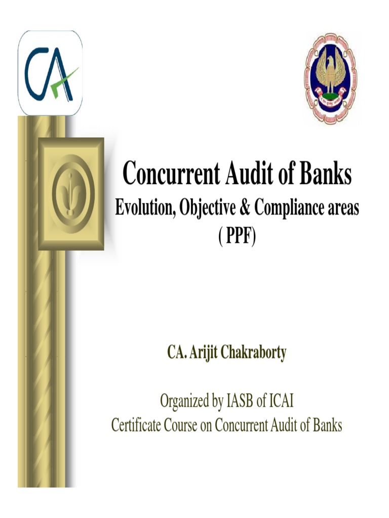 Concurrent Audit PDF | Download Free PDF | Internal Audit | Internal Control