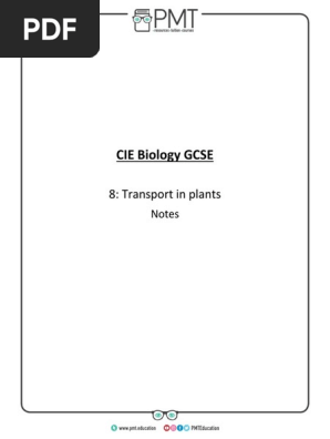 Igcse Biology Transport In Plants Revision Poster