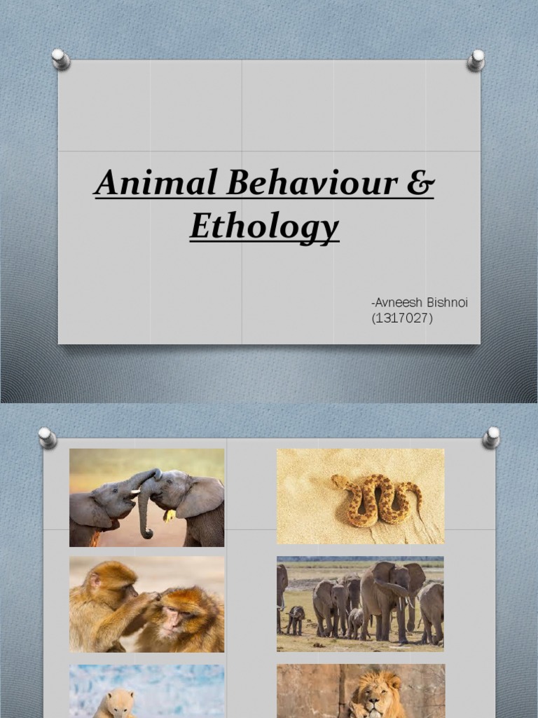 Animal Behaviour & Ethology Avneesh Bishnoi | PDF | Ethology ...