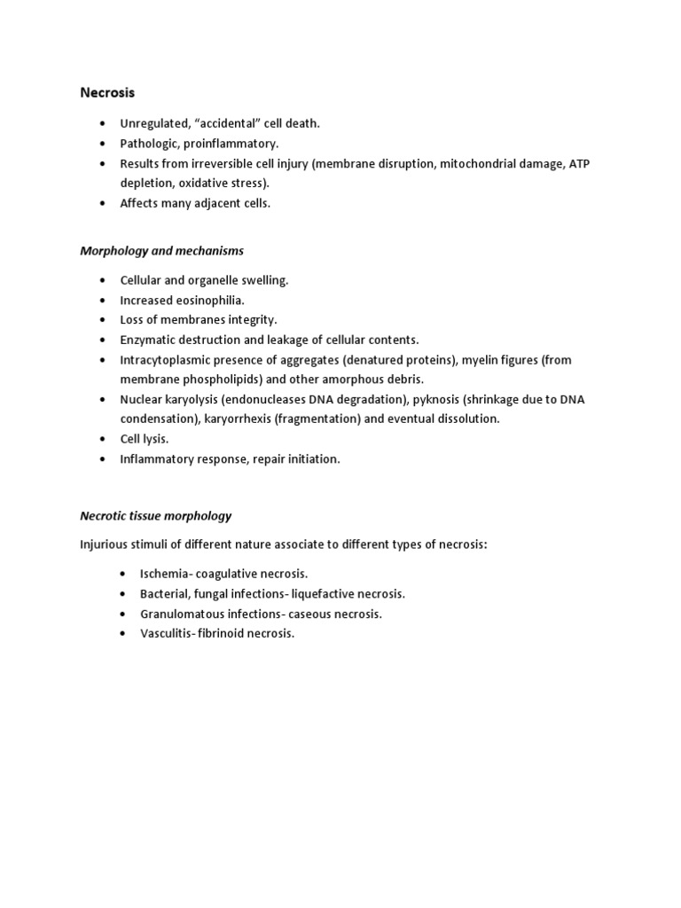 Necrosis and Apoptosis Short Notes For Pathology | PDF | Apoptosis ...