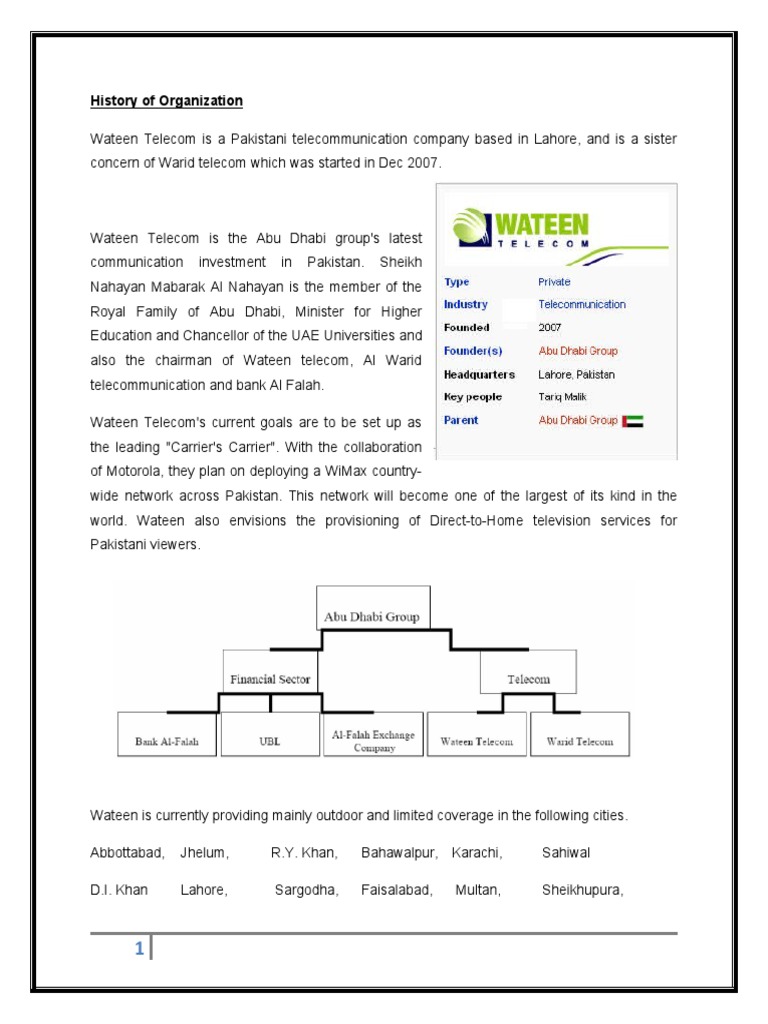History of Organization | PDF | Internet | Internet Access