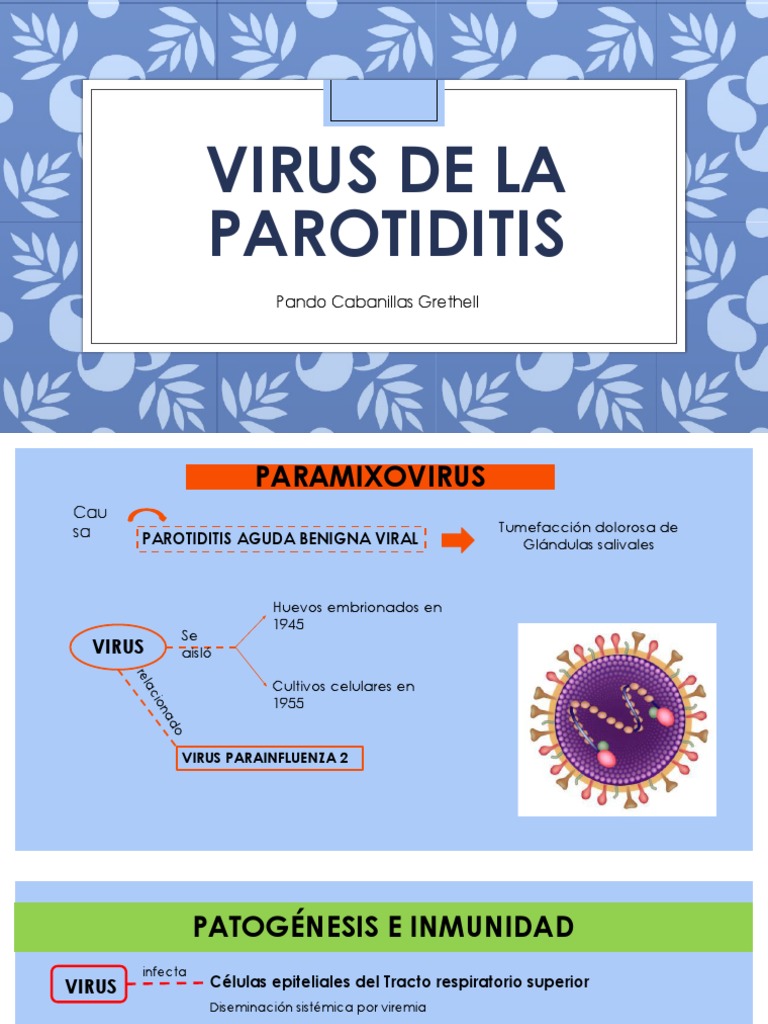 Virus de La Parotiditis | PDF | Virus | Inmunología