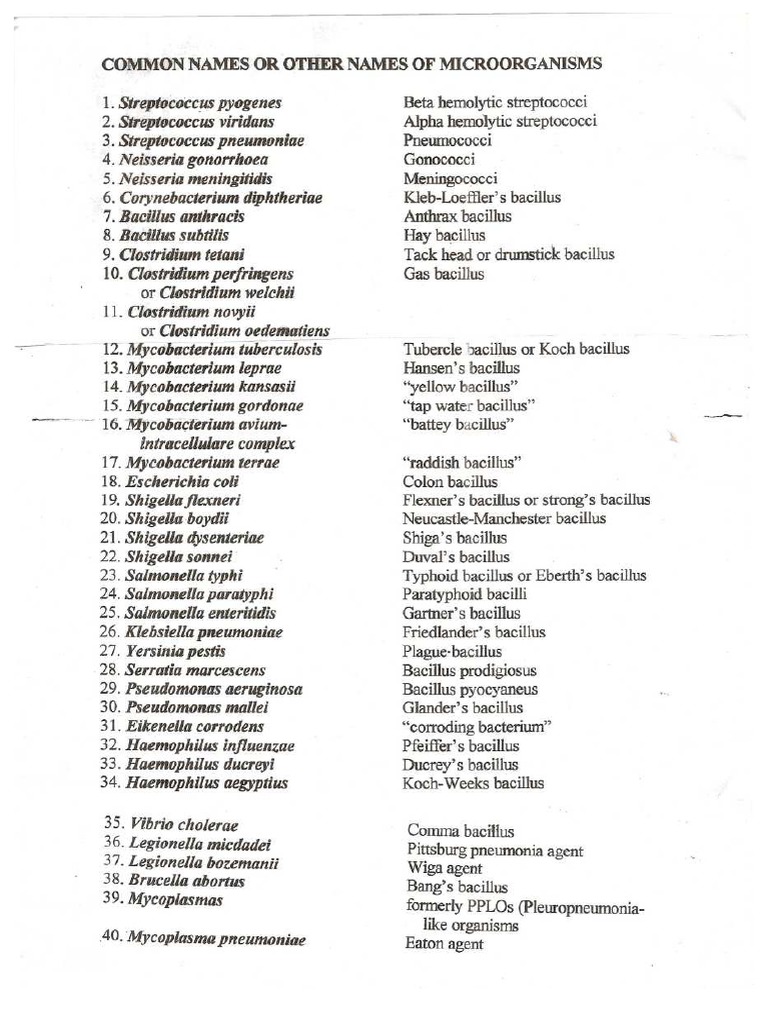 Bacterial Species and Scientific Names List | PDF | Streptococcus ...