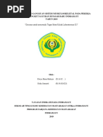 Form Pengukuran Owas | PDF