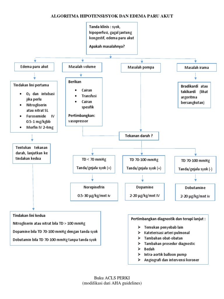 Algoritma Syok | PDF