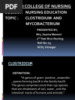 Biochemical Test and Identification of Pseudomonas Aeruginosa | PDF ...