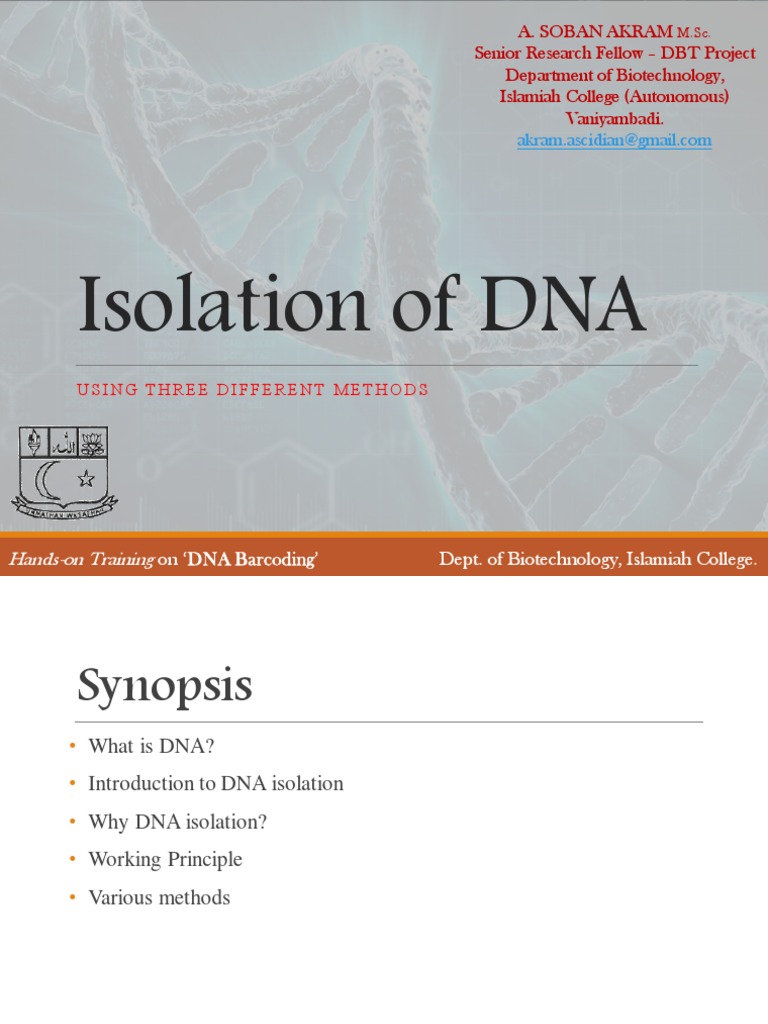Isolation of DNA | PDF | Dna | Nucleic Acids
