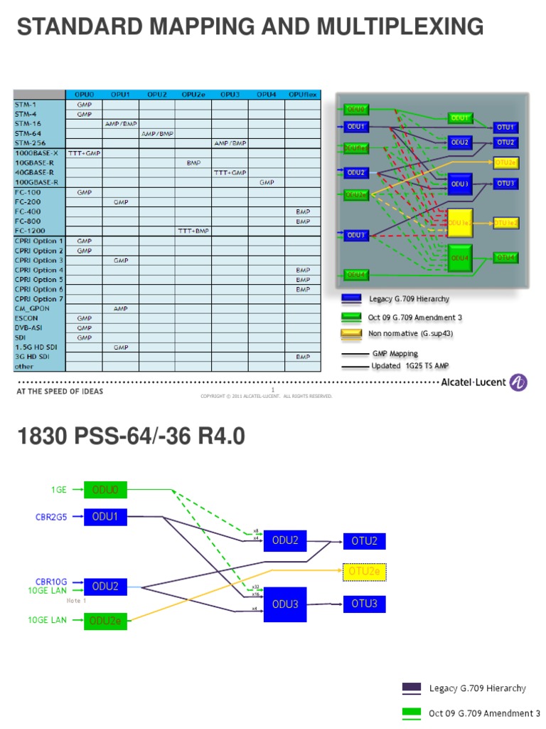 OTN Hierarchy Support 1830 OCS | PDF