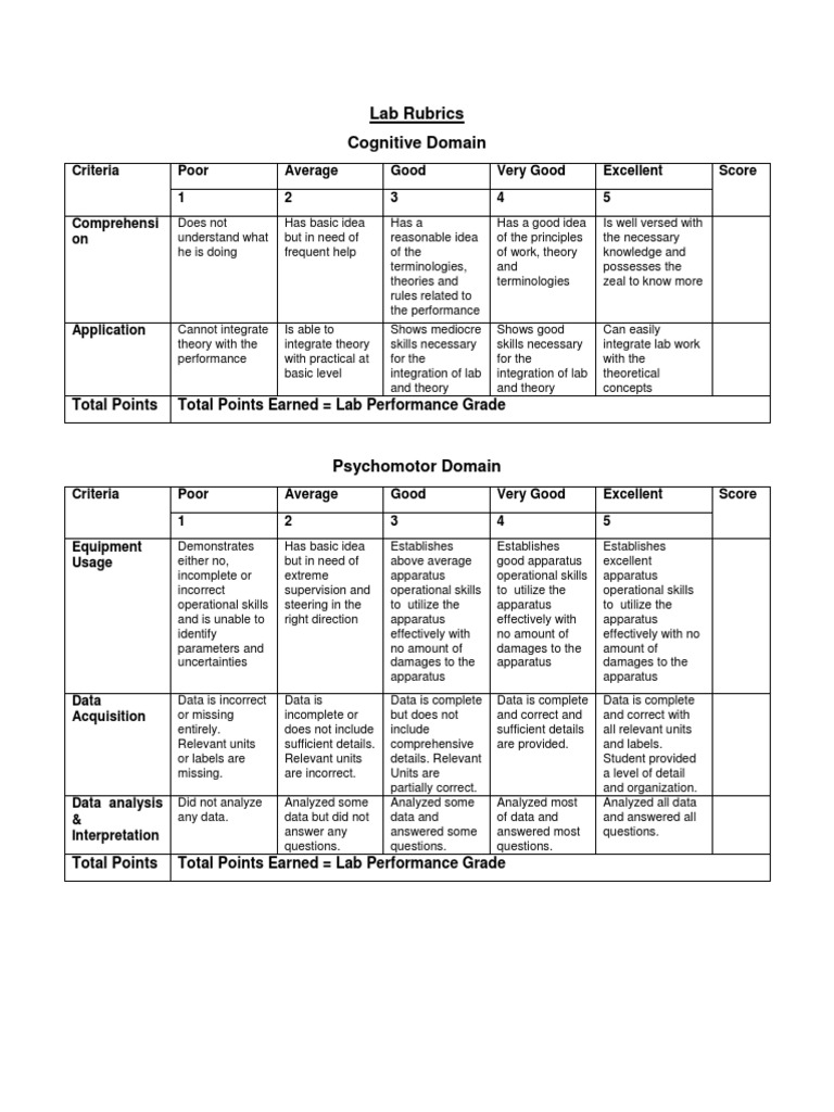 Lab Rubrics | PDF | Data | Rubric (Academic)