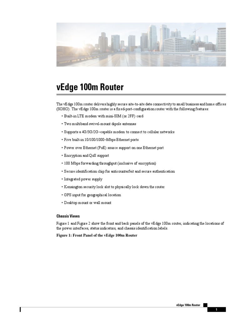 CSYS335 - Vedge 100m Router-Ds | PDF | Power Supply | Ip Address