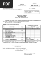 Raport Activitate Model | PDF