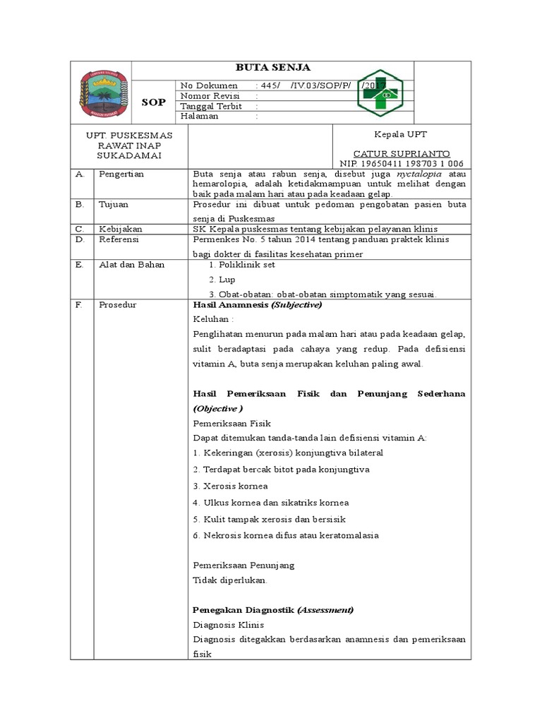 Sop Buta Senja | PDF