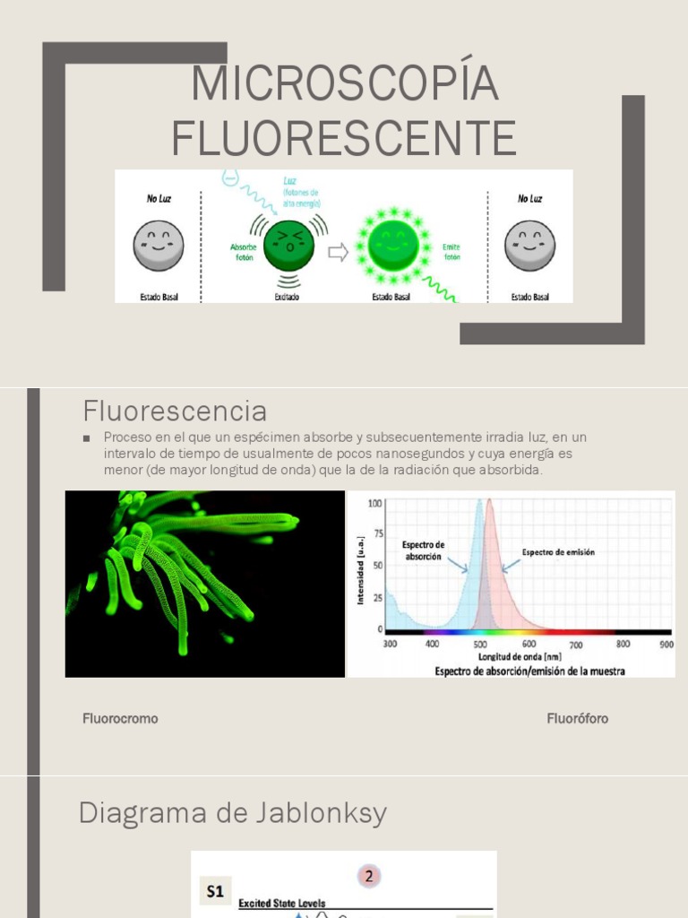 Microscopia de Fluorescencia: Usos y Tipos | PDF | Fluorescencia ...