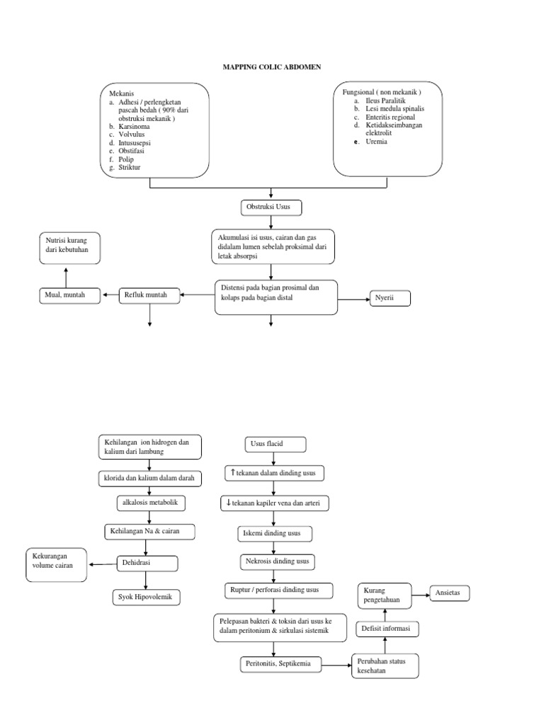 Mapping Colic Abdomen | PDF