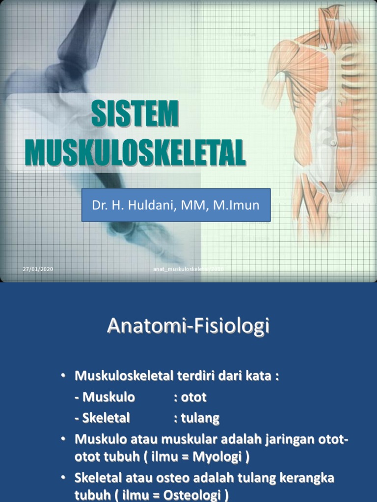 Anatomi Fisiologi Muskuloskeletal | PDF