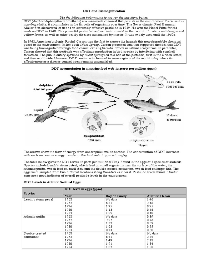 DDT Biomagnification | PDF | Ddt | Polychlorinated Biphenyl