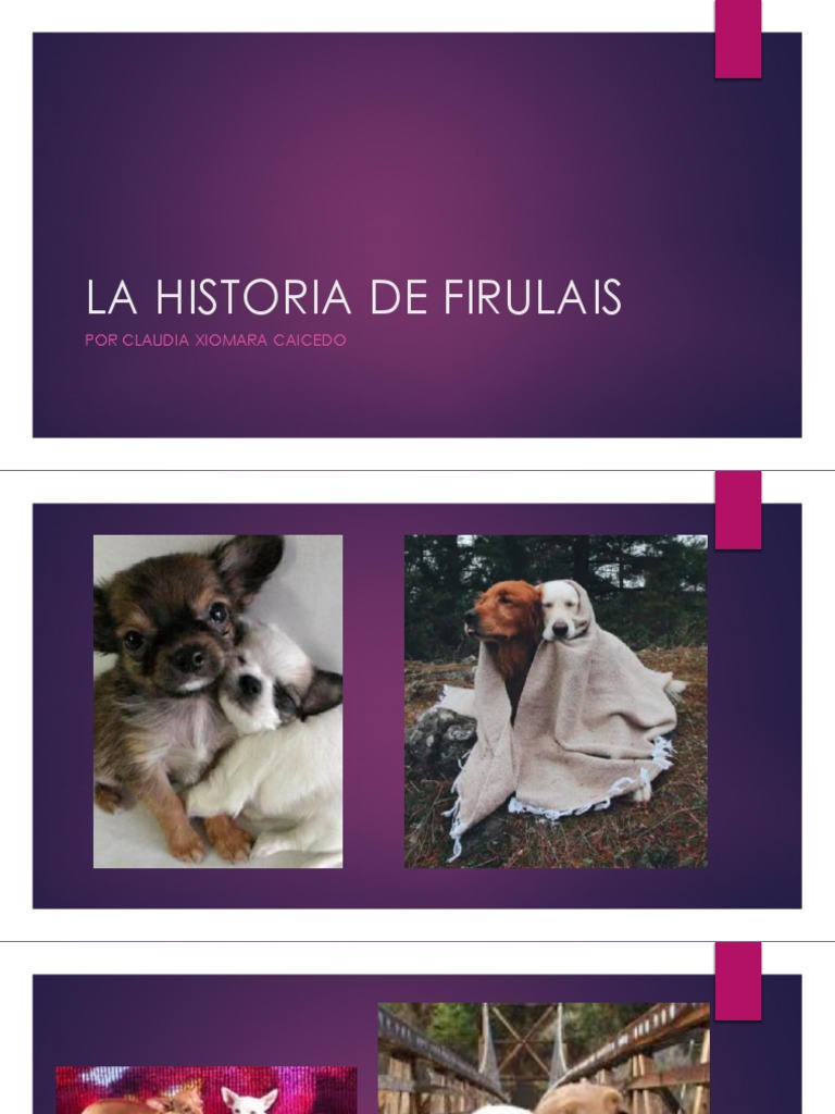 La Historia de Firulais | PDF | Salud y bienestar