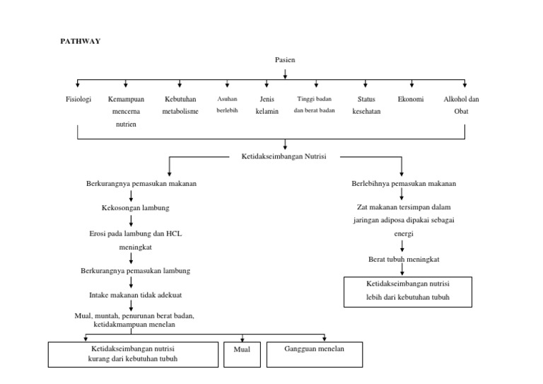 Pathway Nutrisi | PDF