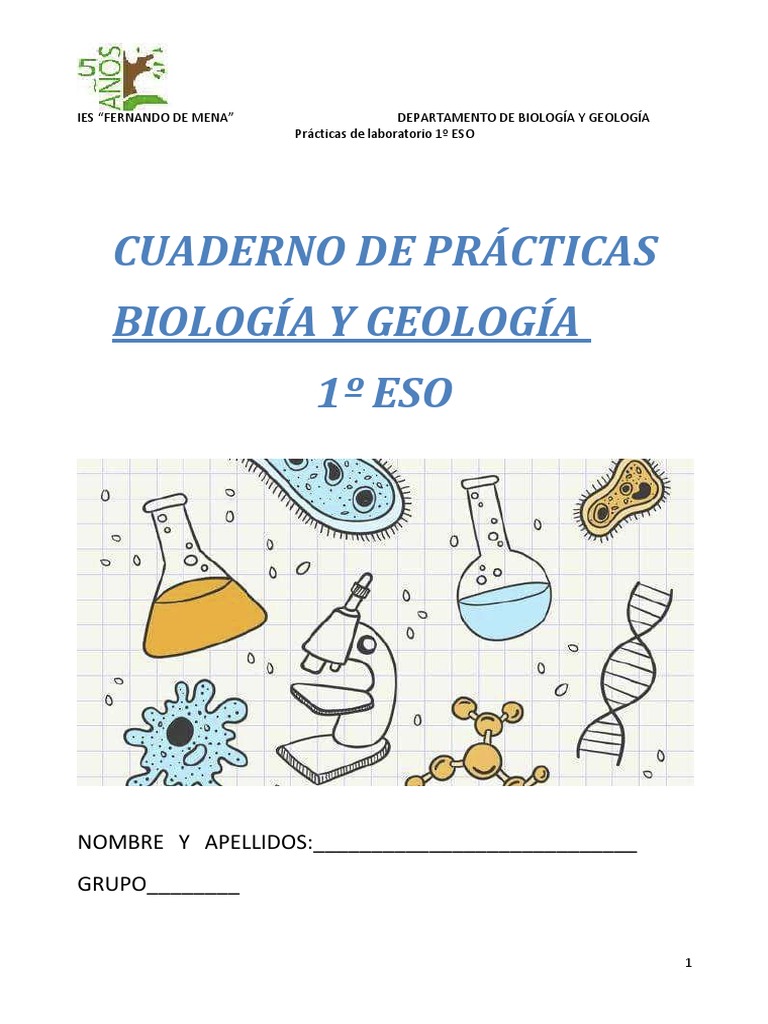 Practica Rocas 5to | PDF | Roca (geología) | Minerales