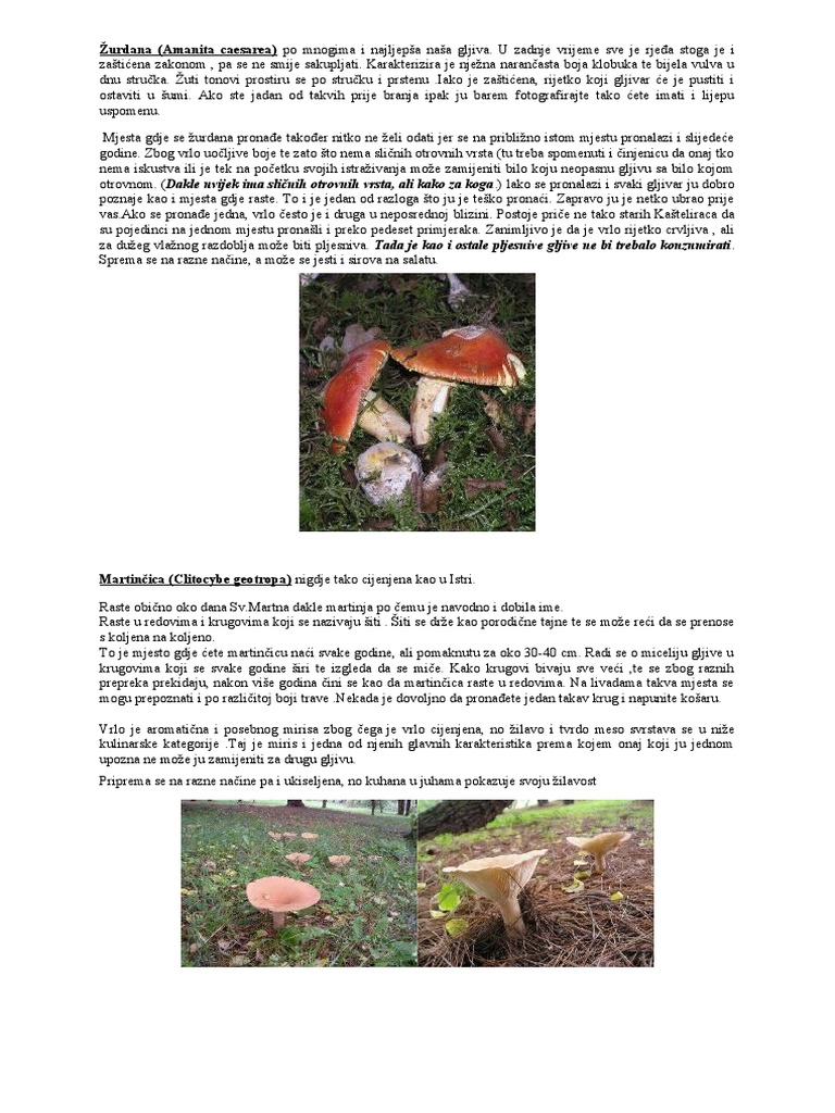 Gljive | PDF