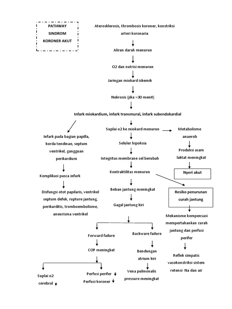 Patofisiologi Infark Miokard Akut | PDF