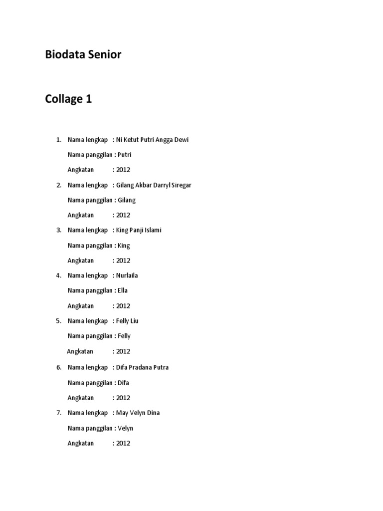 Biodata Senior Bagus | PDF