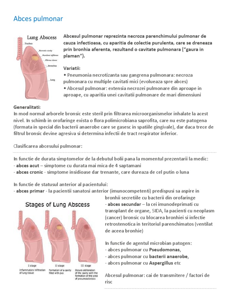 Abces Pulmonar | PDF