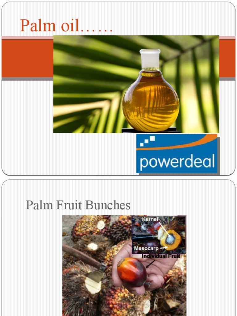 Palm Oil | PDF | Palm Oil | Biodiesel
