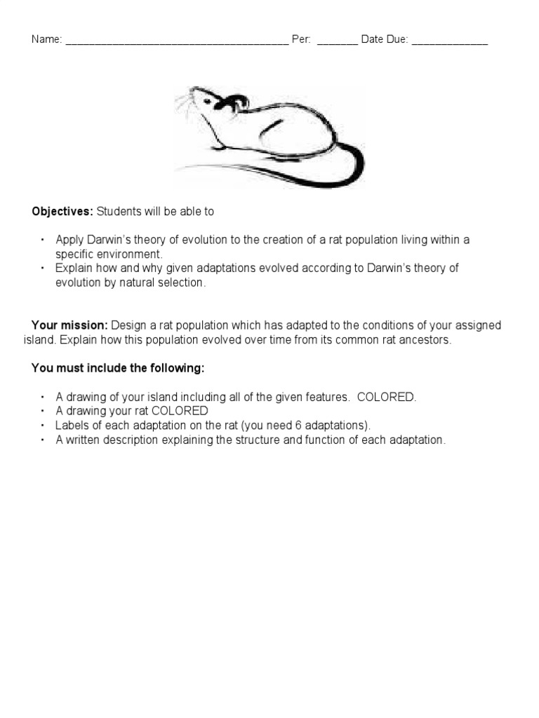 Rat Island Project | PDF | Adaptation | Evolution