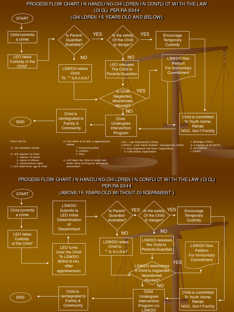 CICL Handling Protocol Flowchart | PDF | Child Custody | Legal Guardian