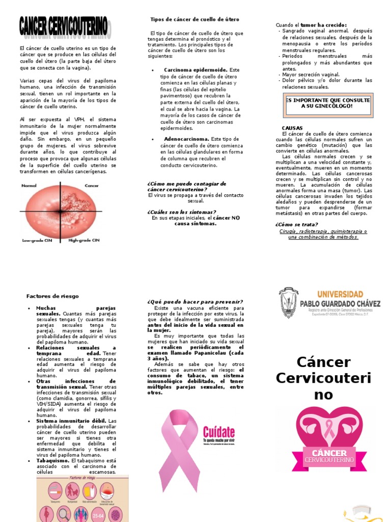 Triptico Cancer Cervicouterino | PDF | Cáncer de cuello uterino | Vagina