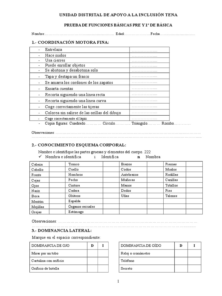 Prueba de Funciones Básicas Pre y 1º de Básica | PDF