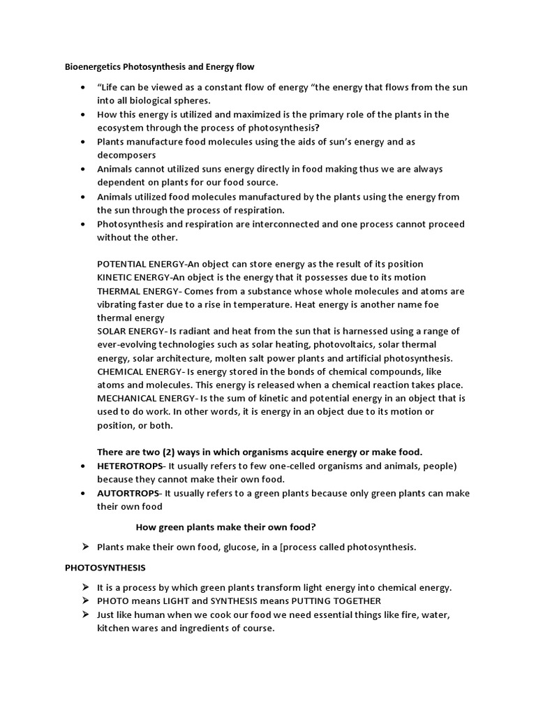Photosynthesis: Energy Flow in Plants | PDF | Photosynthesis | Chloroplast