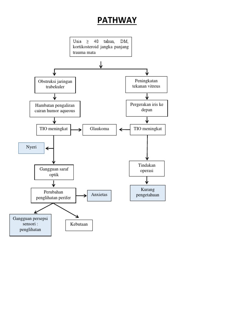 Glaukoma Pathway | PDF