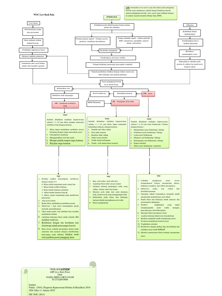 WOC LBP (Low Back Pain) | PDF