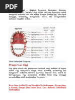 Jenis dan Fungsi Gigi Manusia | PDF