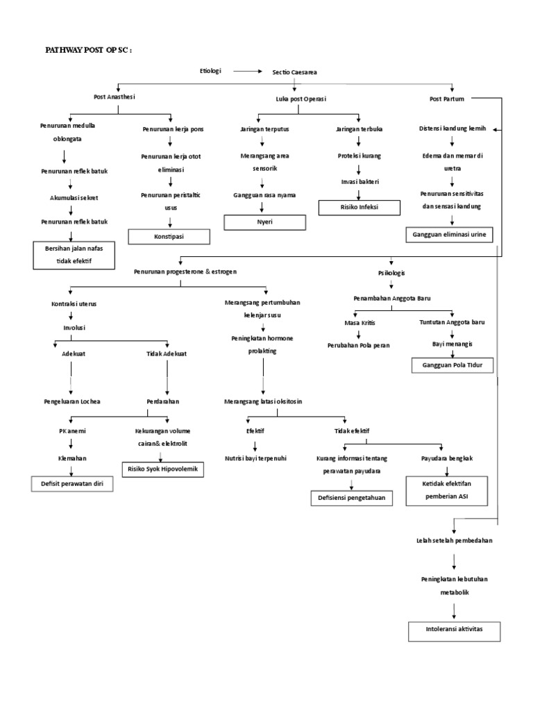 Pathway Post Op SC | PDF
