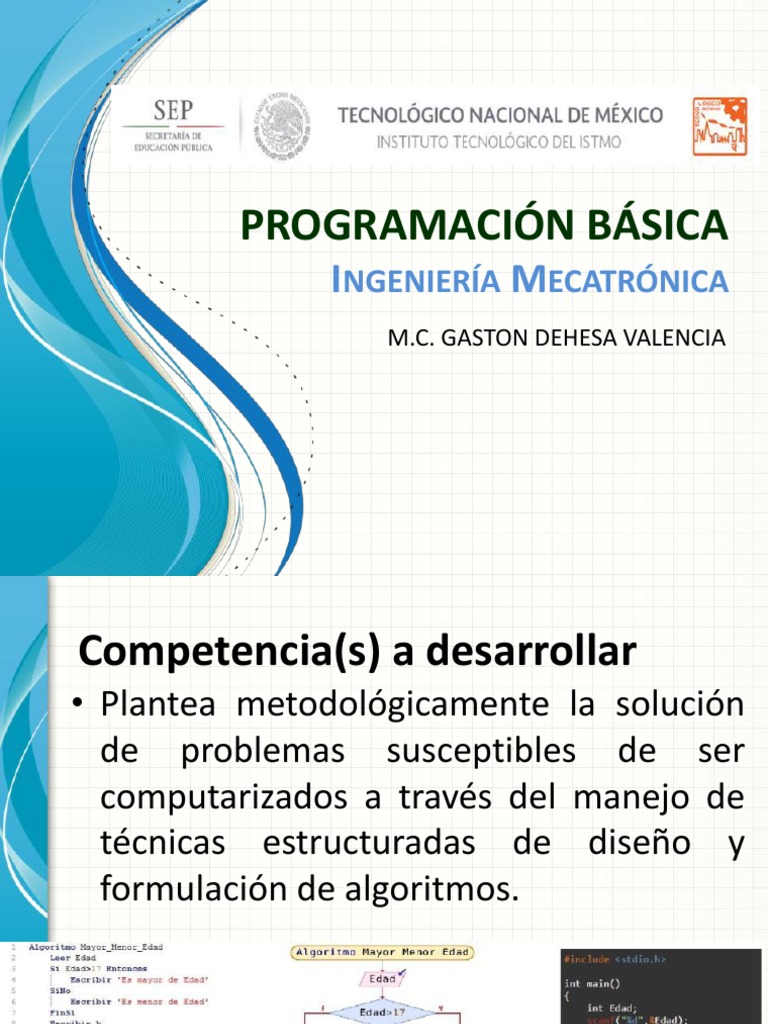 Presentacion Programación Basica | PDF